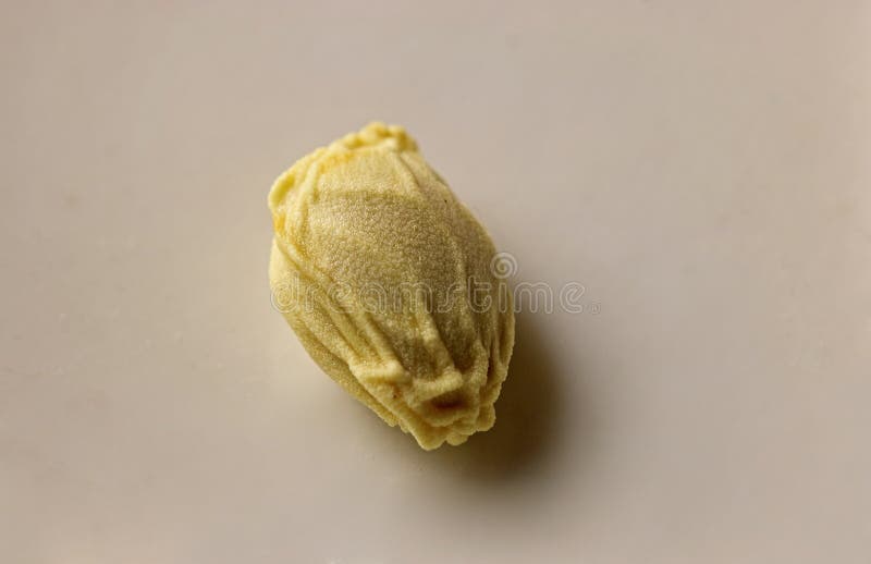 MACRO VIEW of a GRAPEFRUIT PIP Stock Photo - Image of life, pointed ...