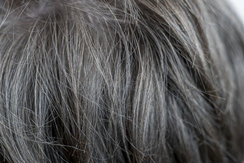 A Macro View of Human Male Head Hair Stock Image - Image of close ...