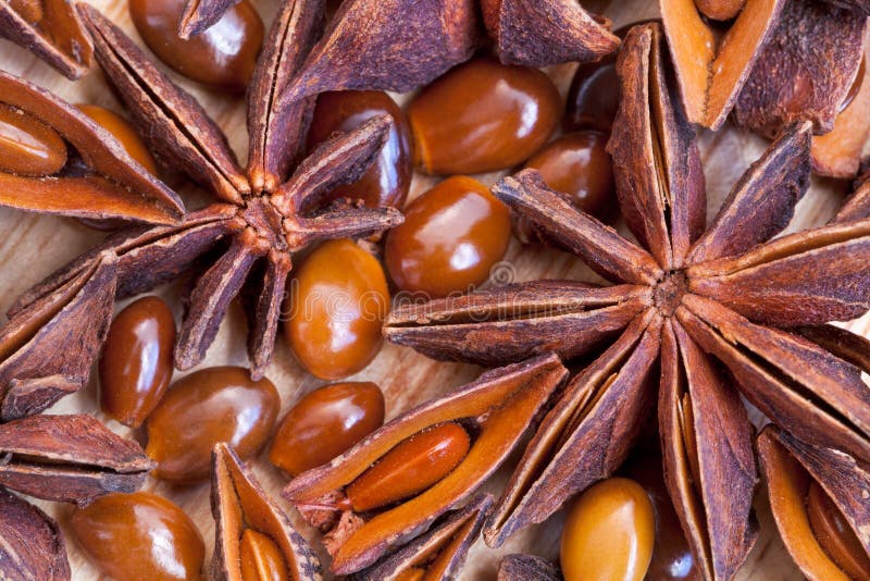 Macro View of Illicium Star Seeds Stock Photo - Image of tree, cooking ...