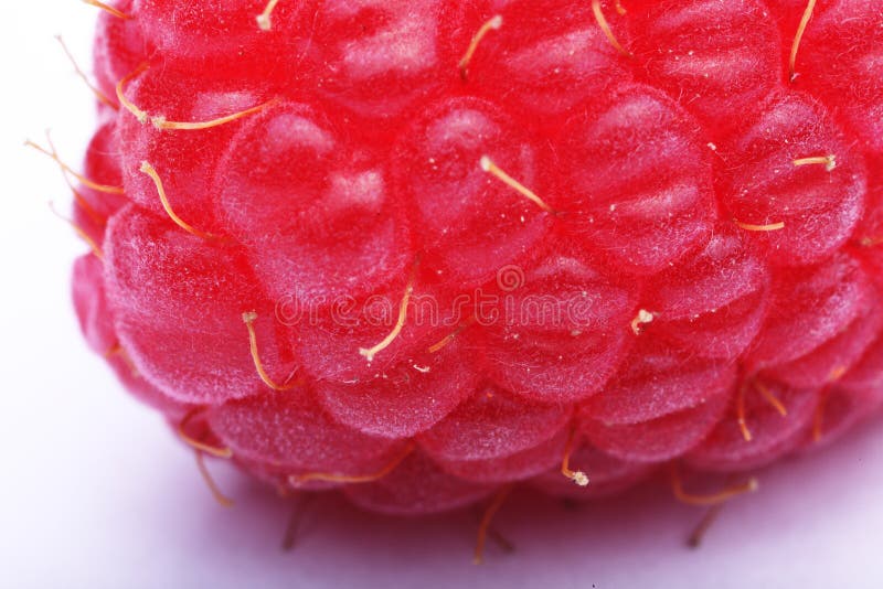 Macro view of a raspberry stock image. Image of backgrounds - 64630111