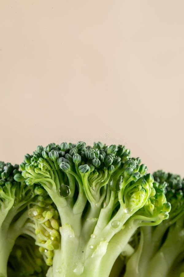 Macro View on Ripe Broccoli Inflorescences Isolated Stock Photo - Image ...