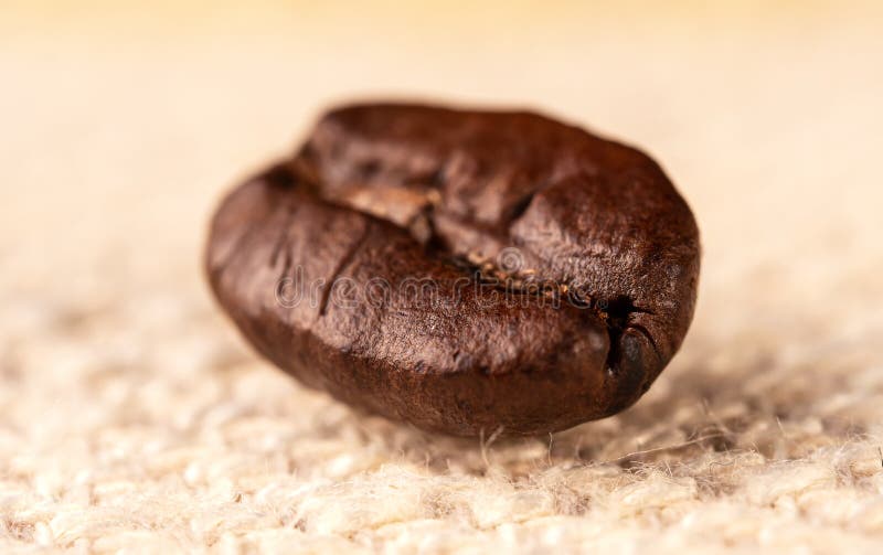Single coffee bean stock photo. Image of paper, letter - 5263758
