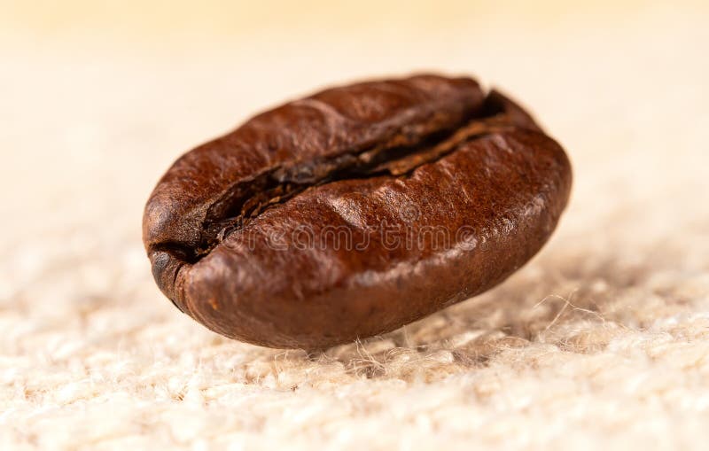 Single coffee bean stock image. Image of texture, caffeine - 5262917