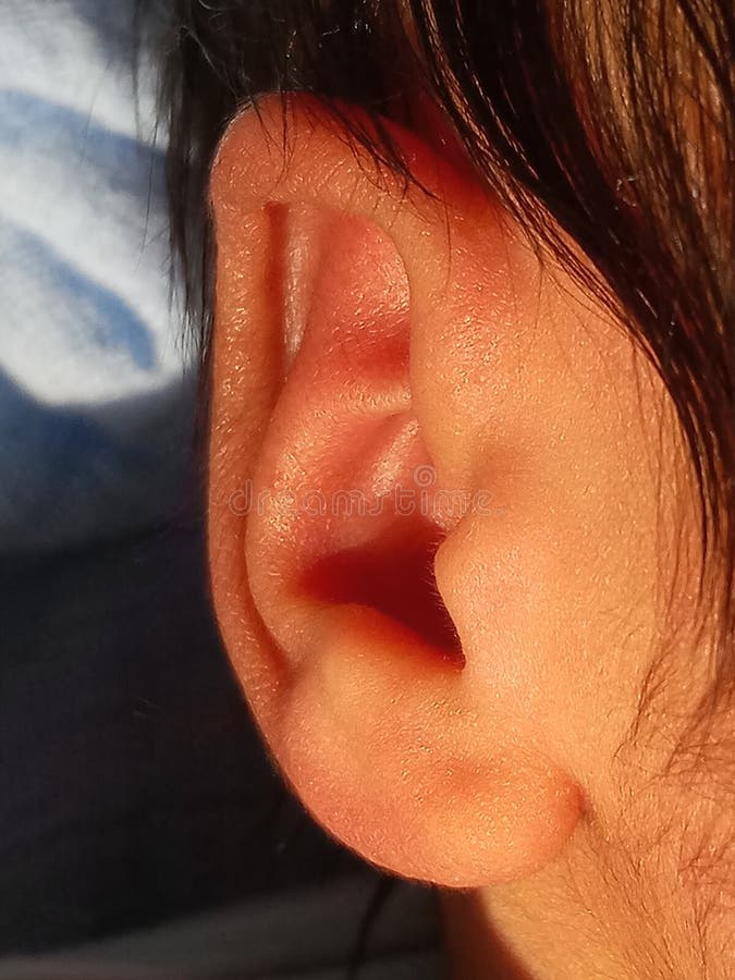 Macro View of a Small Babys Ear Stock Image - Image of babys, small ...