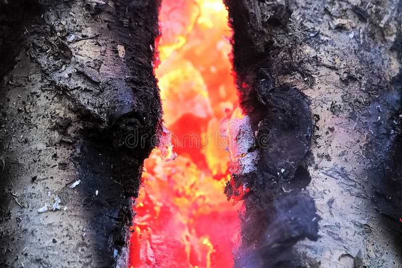 Macro View of Two Logs Burning with Embers in the Background Stock ...