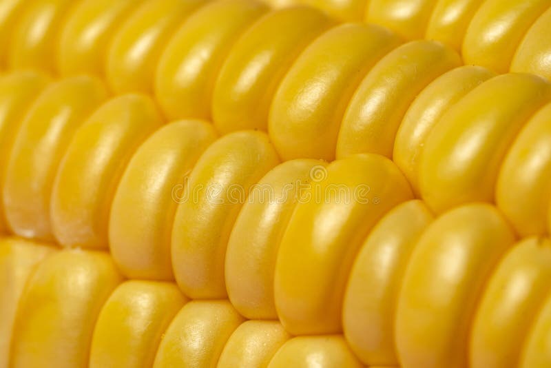 Macro View of Yellow Corn Cob with Grains Stock Photo - Image of summer ...