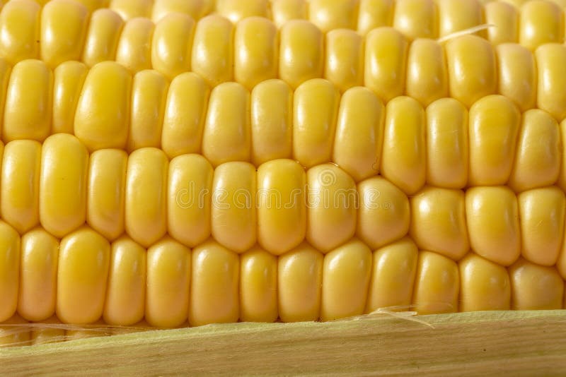 Macro View of Yellow Corn Cob with Grains Stock Image - Image of summer ...