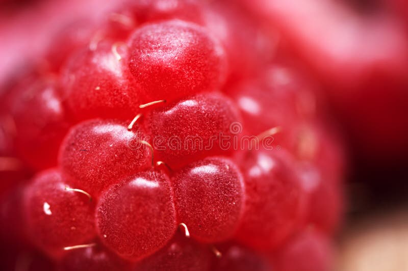 Macro Wallpaper of a Fresh Raspberry and Red Background Stock Image ...