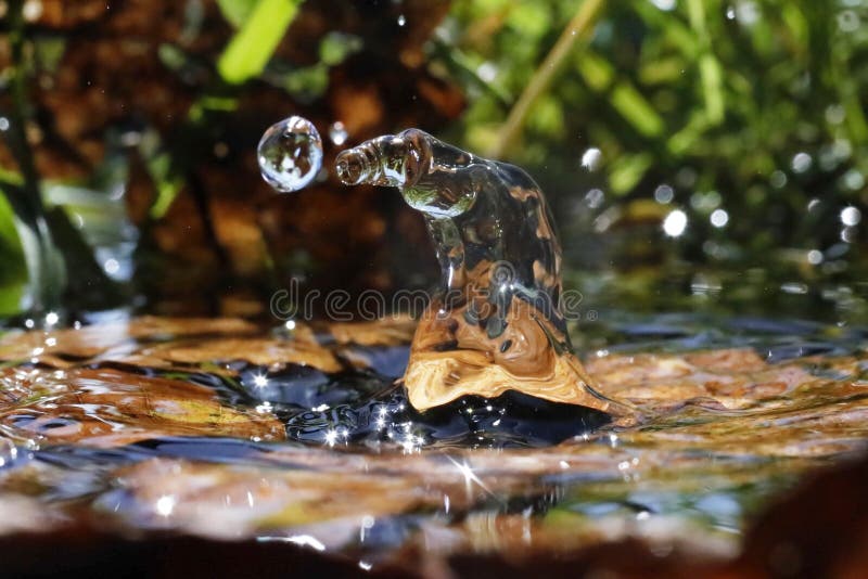 Macro of water droplets stock image. Image of macro - 248555941