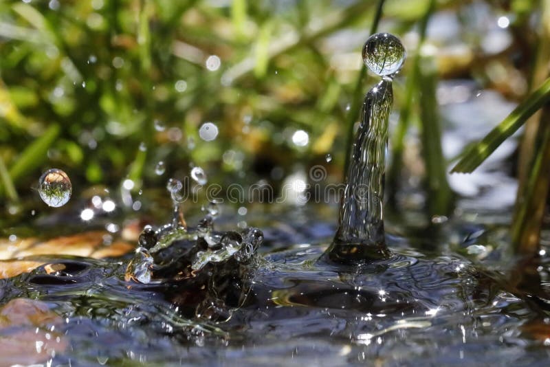 Macro of water droplets stock photo. Image of green - 248556362