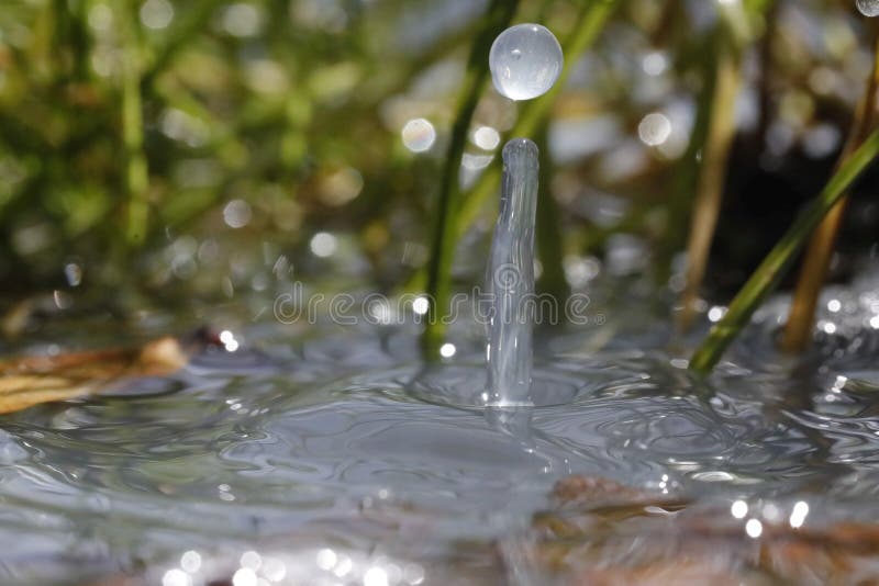 Macro of water droplets stock photo. Image of drop, isolated - 248556950