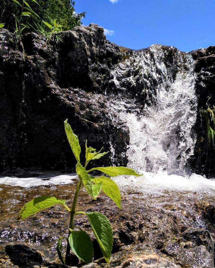 Macro waterfall stock image. Image of macro, trees, front - 132898731