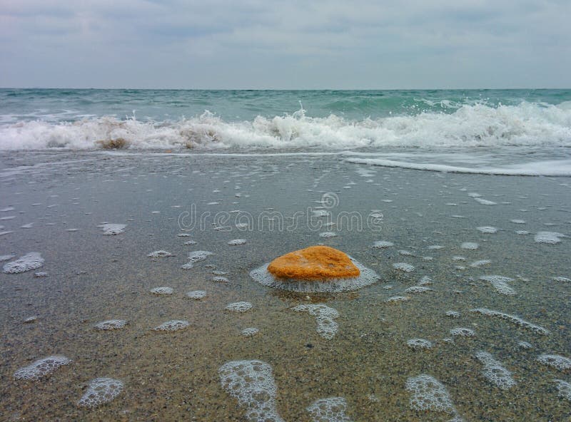 Macro of yellow pebble stock photo. Image of ocean, splashes - 79022608