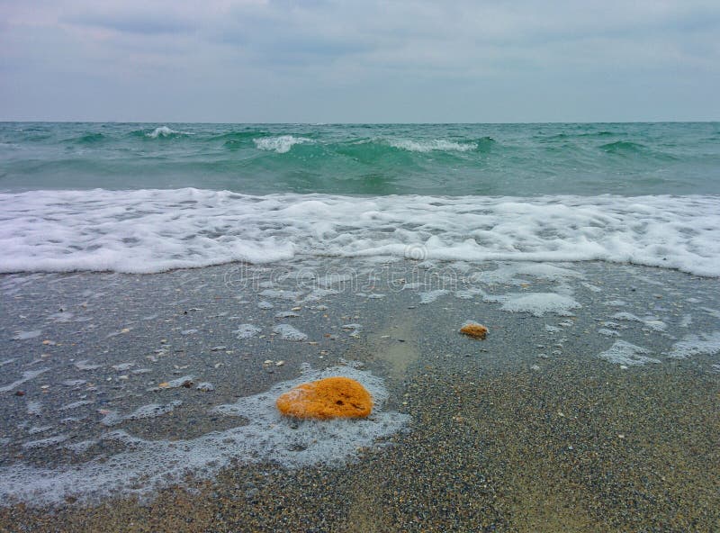 Macro of yellow pebble stock photo. Image of macro, waves - 79022904