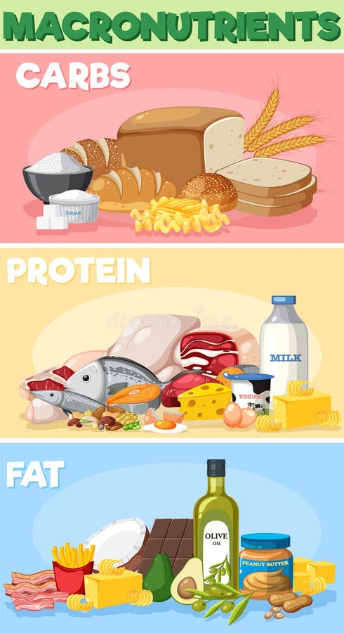 Macronutrients Diagram with Food Ingredients Stock Vector ...