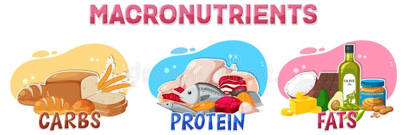 Macronutrients Diagram with Food Ingredients Stock Vector ...