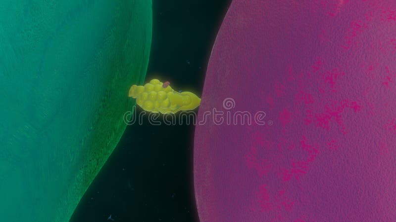 Blood Type B Chocolate Stock Photos - Free & Royalty-Free Stock Photos ...