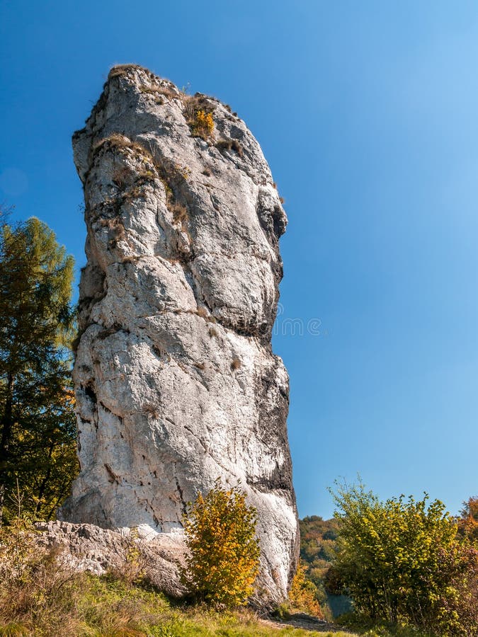 Maczuga Herkulesa En El Parque Nacional De Ojcow, Polonia Imagen de ...