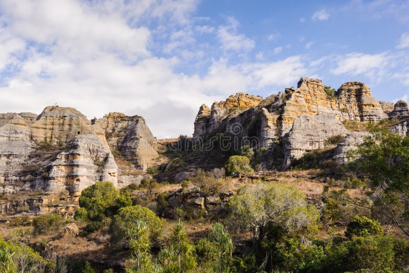 Madagascar stock image. Image of scene, conservation - 56665627