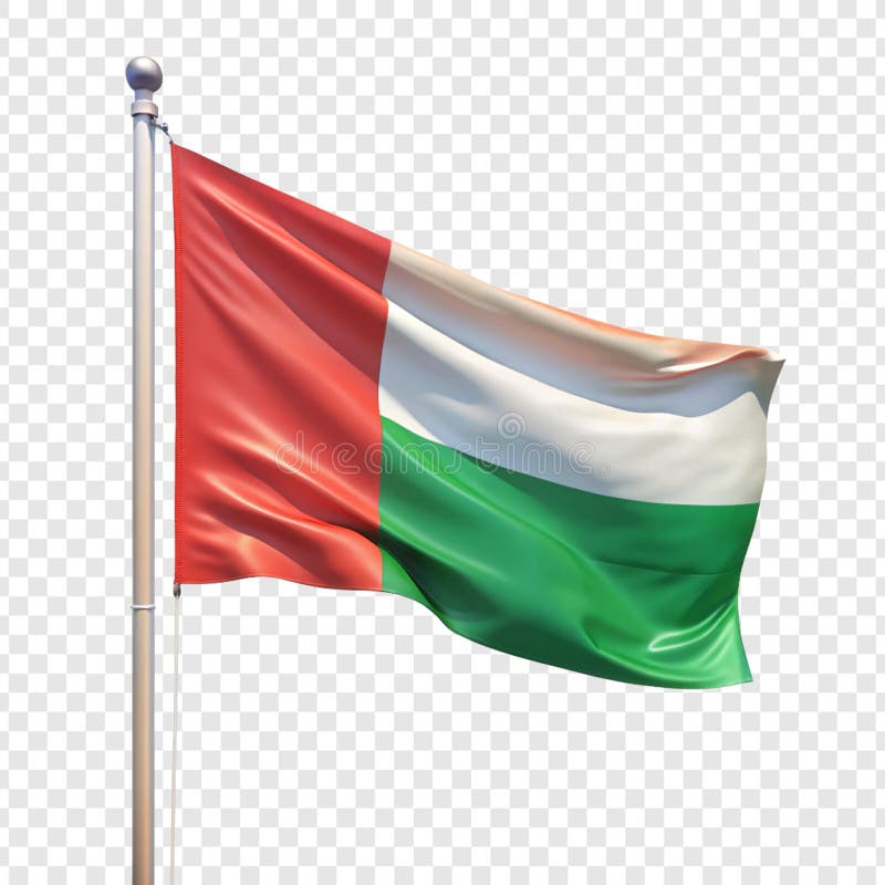 Madagascar Flag Transparent Background Stock Illustration ...