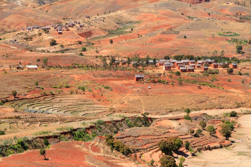Madagascar red landscape stock photo. Image of conservation - 42683310
