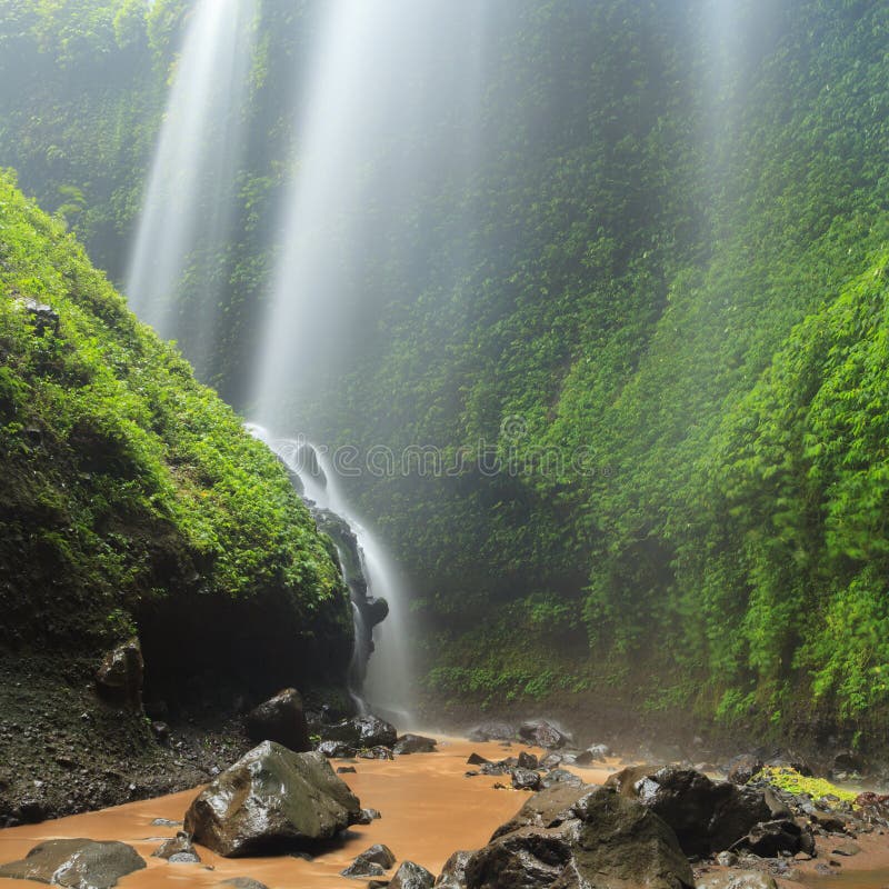 Waterfall in Deep Forest, Croatia Stock Image - Image of natural ...