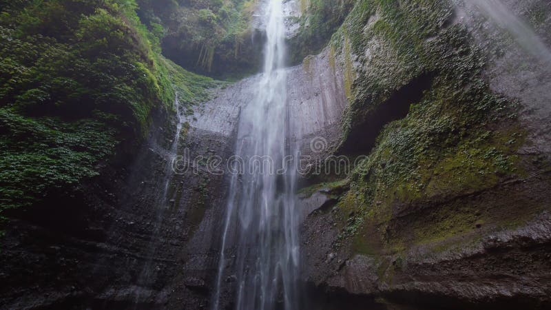 Madakaripura Waterfall stock photo. Image of fluid, green - 31177922