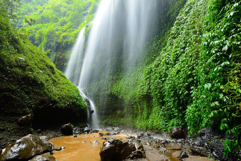 Madakaripura Waterfall, East Java, Indonesia Stock Image - Image of ...