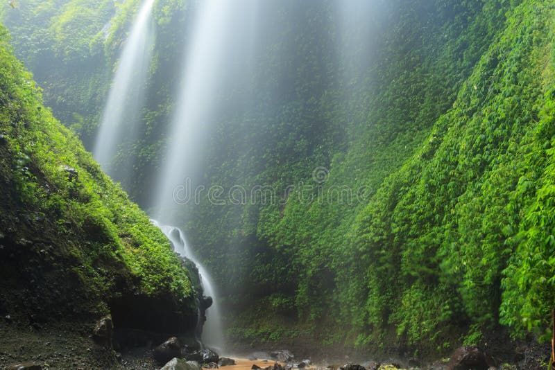 Madakaripura Waterfall â€“ Deep Forest Waterfall Stock Image - Image of ...