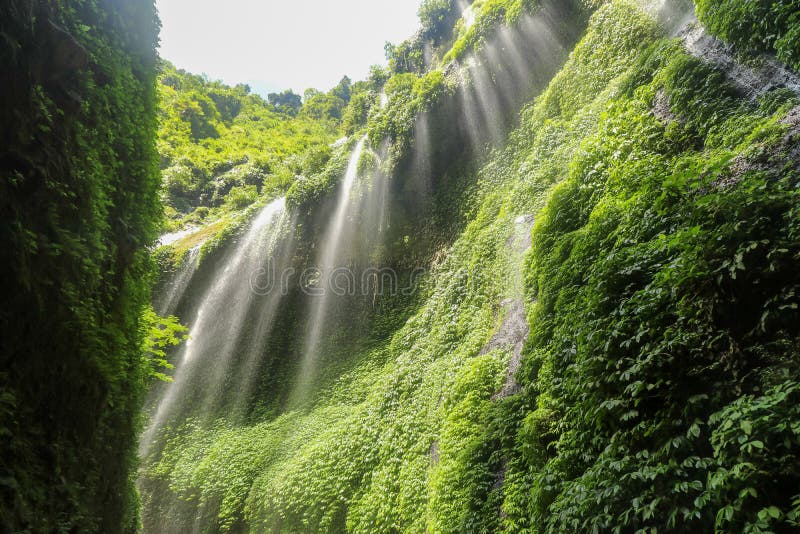 Madakaripura Waterfall-Deep Forest Waterfall in East Java, Indonesia ...