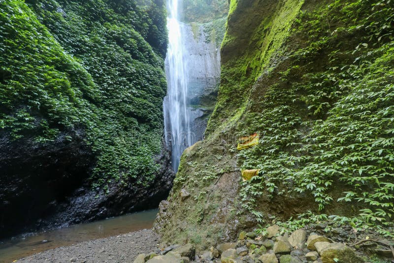 Madakaripura Waterfall-Deep Forest Waterfall in East Java, Indonesia ...