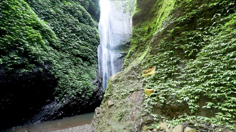 Madakaripura Waterfall-Deep Forest Waterfall in East Java, Indonesia ...