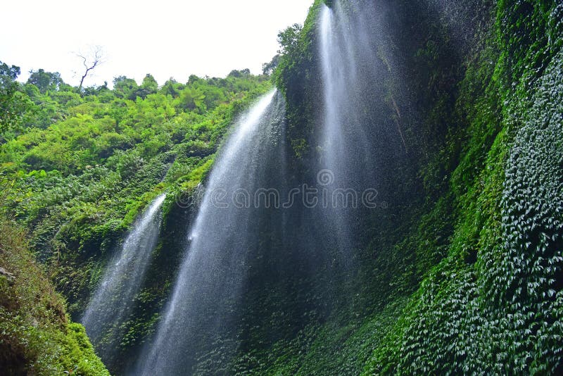 Madakaripura Waterfall in East Java Stock Photo - Image of waterfall ...