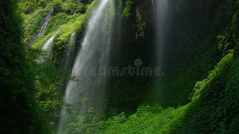 Madakaripura Waterfall stock photo. Image of fluid, green - 31177922