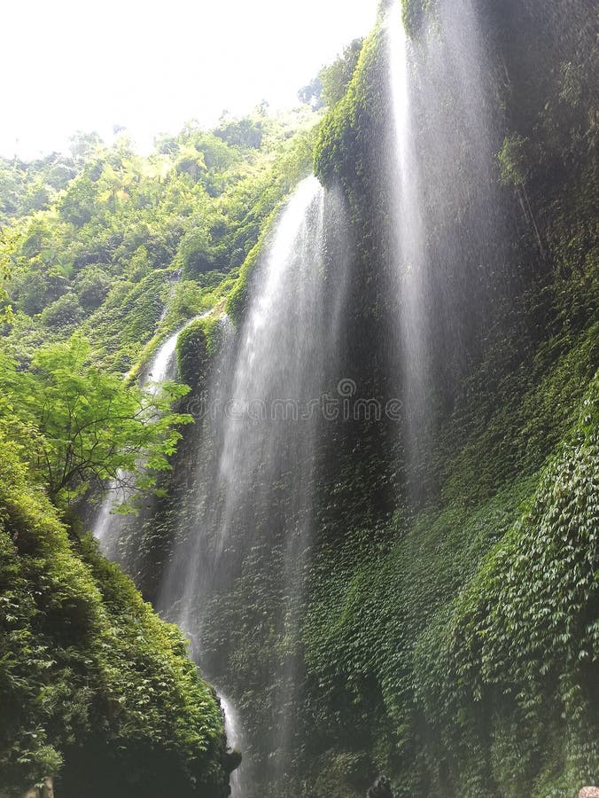 Madakaripura Waterfall, Malang, Indonesia Stock Photo - Image of cliff ...