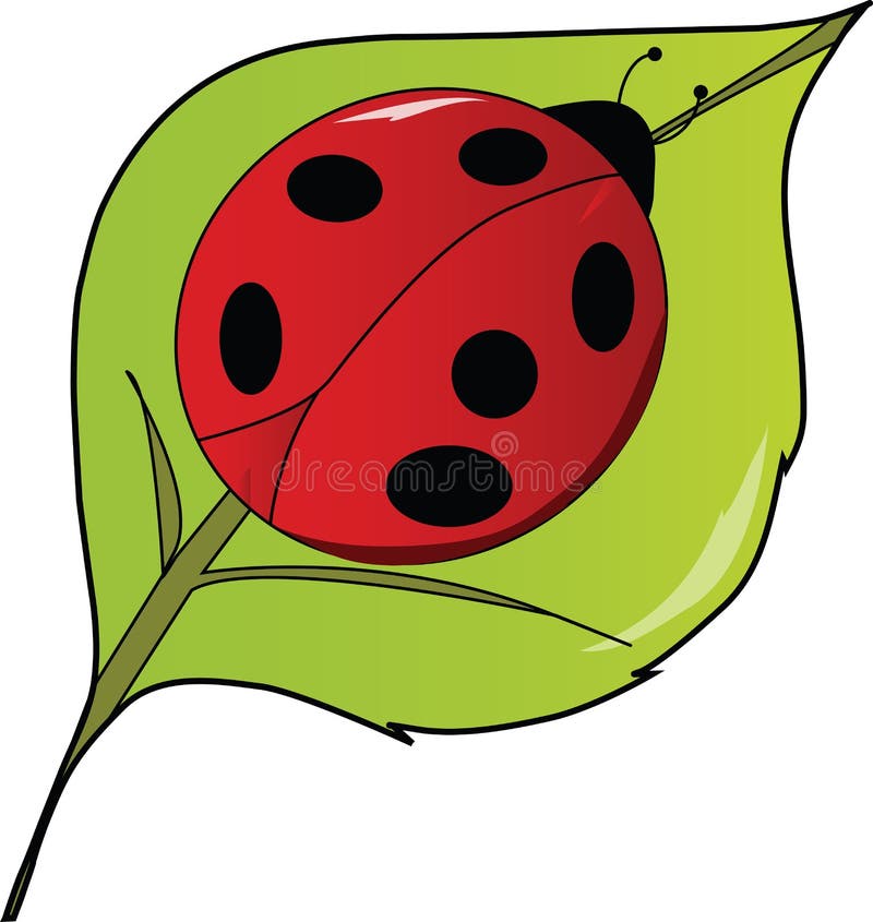 Madame Bug De Coccinelle Sur Une Lame Illustration de Vecteur ...