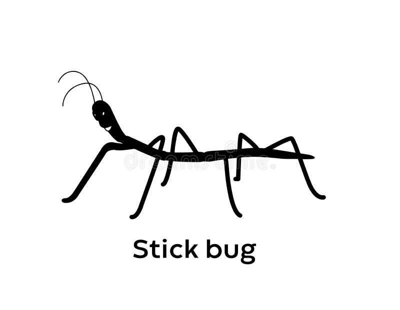 Stick Bug Isolated Vector Silhouettes Stock Illustration - Illustration ...