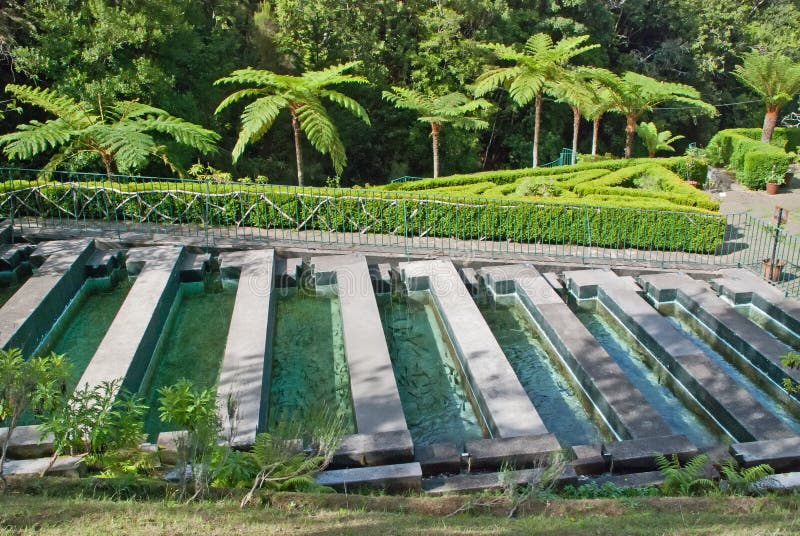 Madeira stock photo. Image of comercial, fresh, fish - 28237666