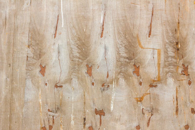 Madeira Compensada Velha Textured Foto de Stock - Imagem de textura ...