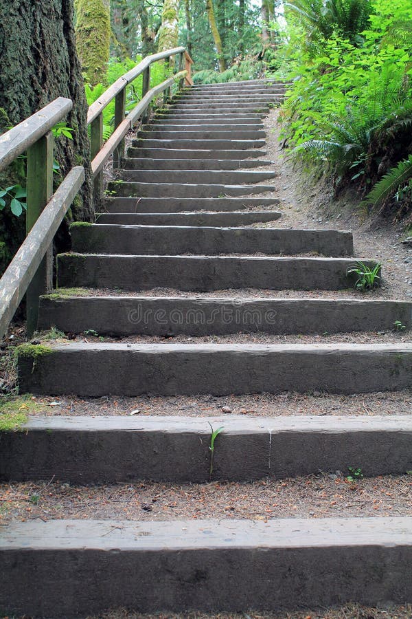 Stairway da rocha foto de stock. Imagem de escalada, pessoa - 1446558