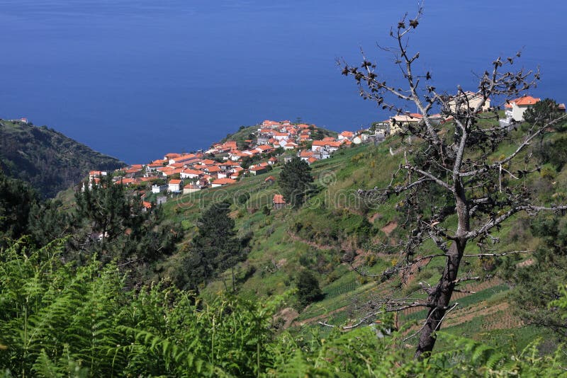 Madeira landscape stock image. Image of road, travel - 14602279