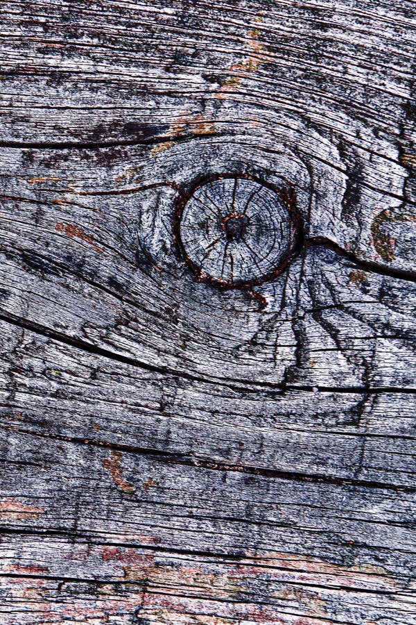 Madeira Natural Texturizada, De Madeira Antiga Imagem de Stock - Imagem ...