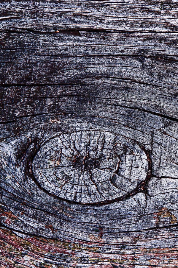 Madeira Natural Texturizada, De Madeira Antiga Foto de Stock - Imagem ...