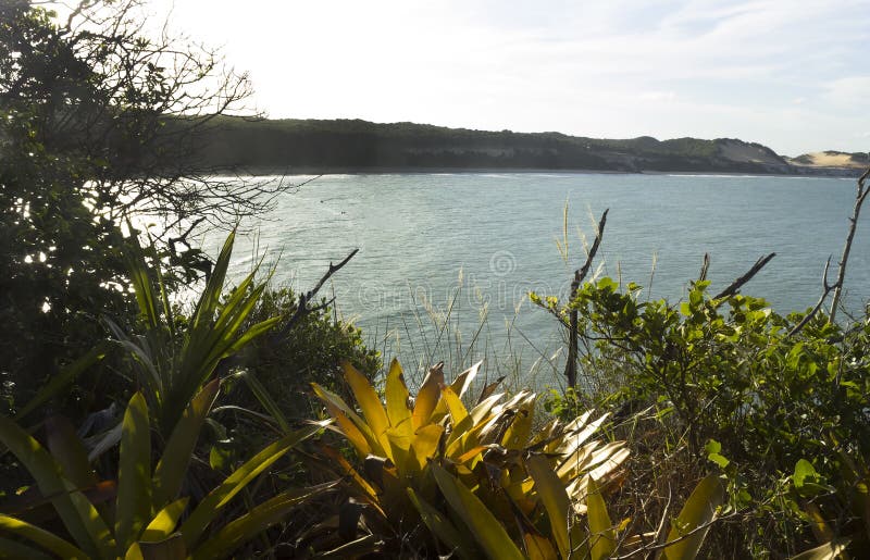 Madeiro beach stock photo. Image of northeast, beaches - 93163422