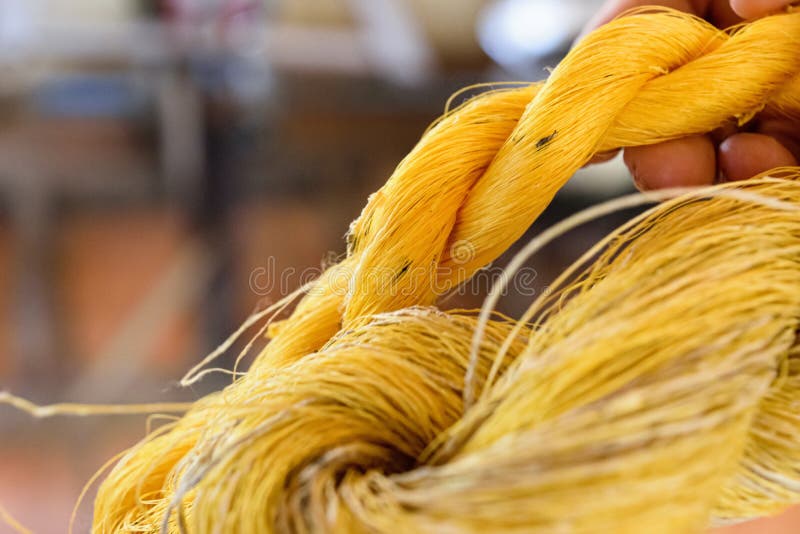 Madejas De La Seda Cruda De Oro En El Estadio Final Del Proceso Imagen ...