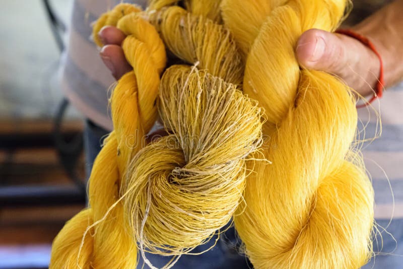 Madejas De La Seda Cruda De Oro En El Estadio Final Del Proceso Foto de ...