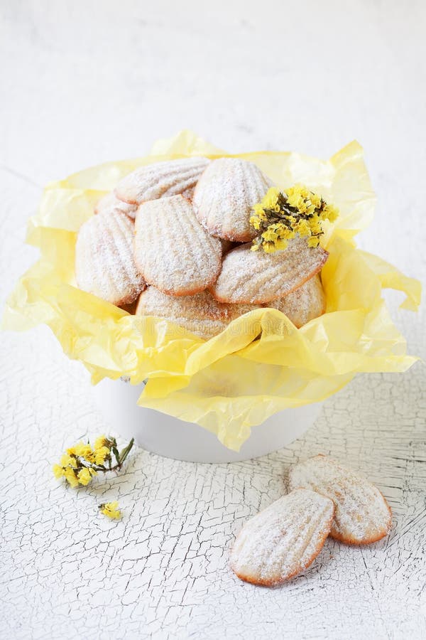Madeleine stock image. Image of biscuit, pastry, celebrate - 60528565