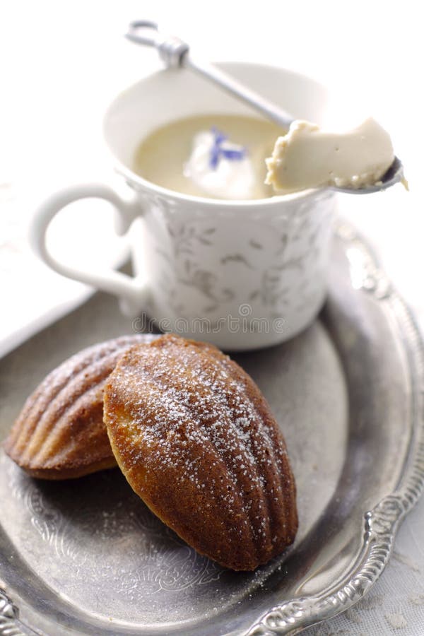 Madeleine Teatime stock photo. Image of dessert, powder - 8504206