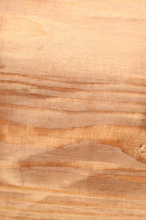 Textura De Madera: Laurel Del Alcanfor Imagen de archivo - Imagen de ...