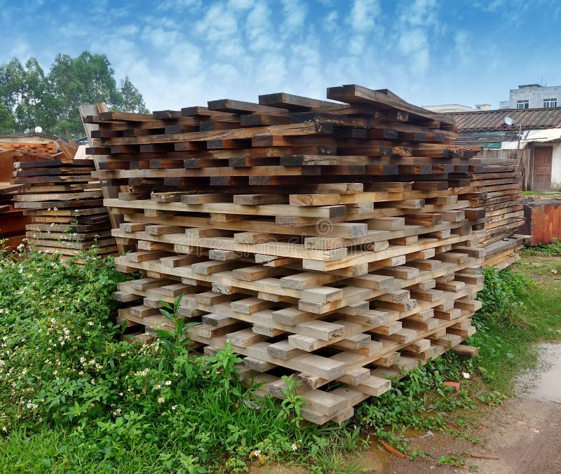 Madera Apilada En El Bosque Foto de archivo - Imagen de hojas, camino ...
